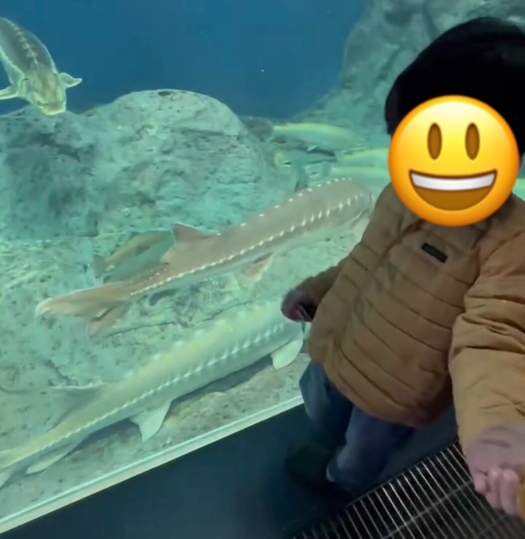 春休みは…🐠水族館とラウンドワン！🎳